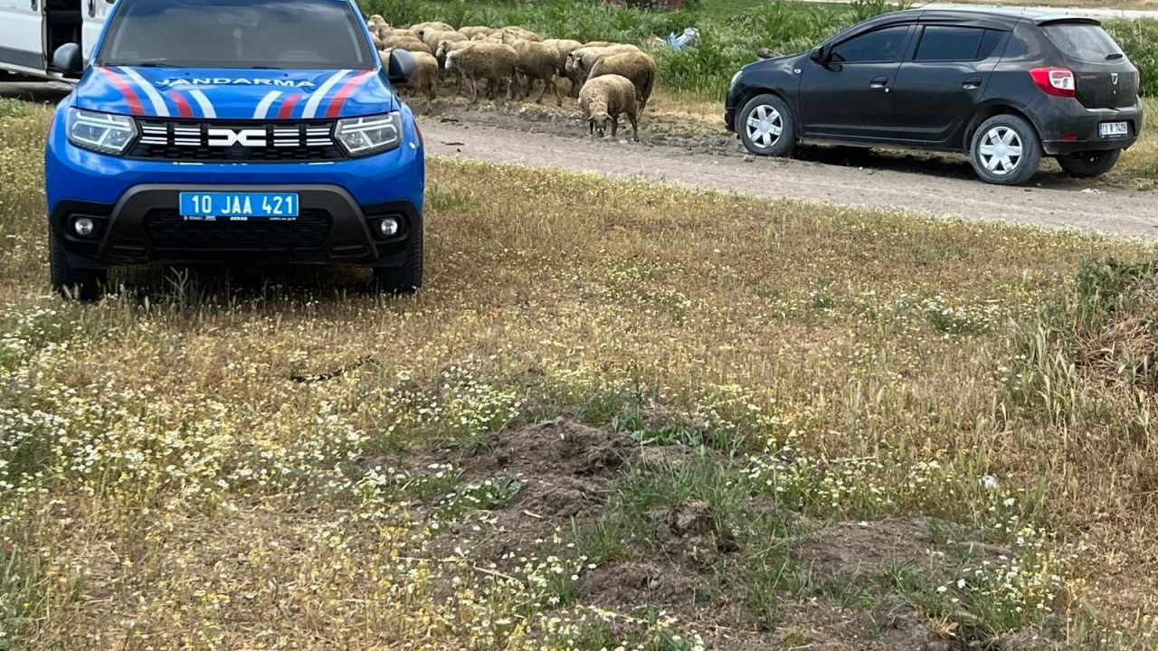Balıkesir'de ahır yangınında 35 küçükbaş hayvan telef oldu - Sakarya ...